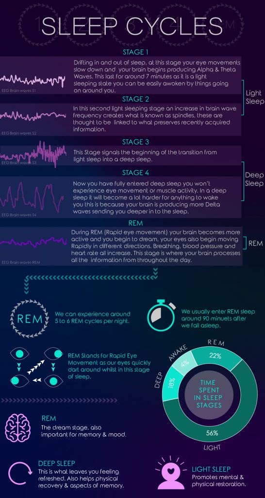 Understanding Sleep Cycles | Sleep Science - Prestige Beds